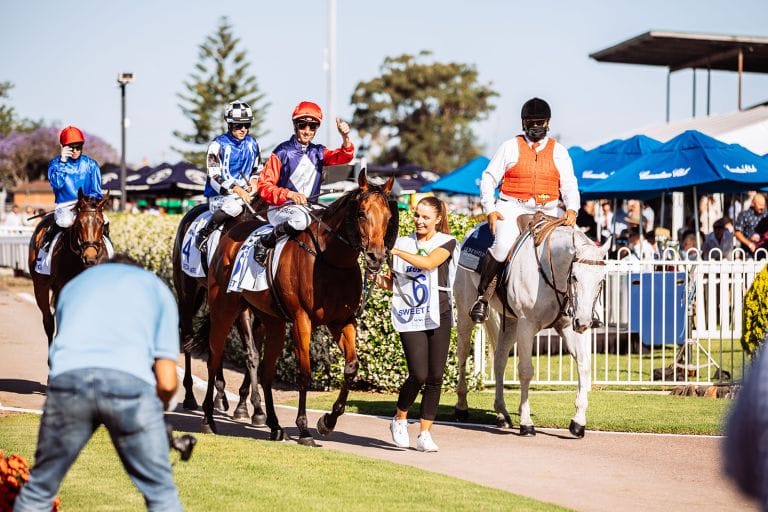 Gallery - Newcastle Racecourse