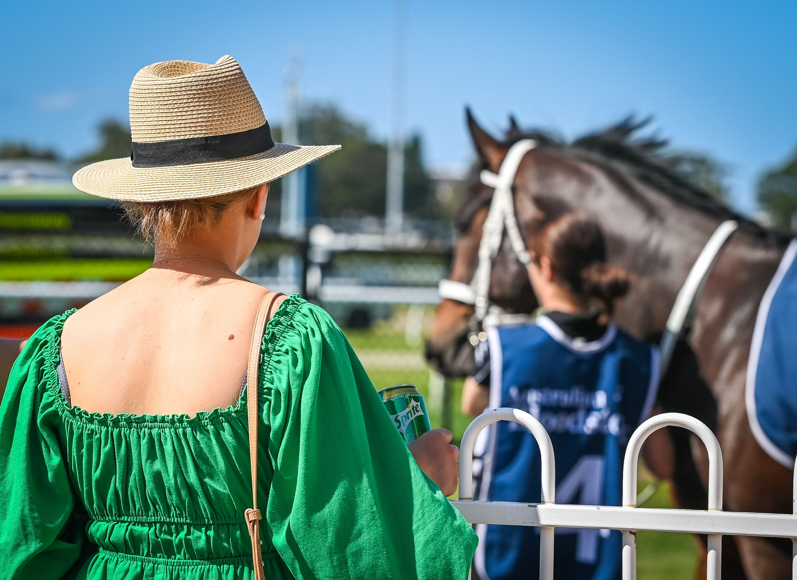 New Owners Experience at Newcastle - Newcastle Racecourse