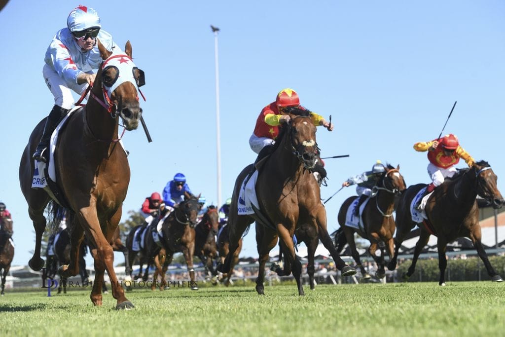 Gary Harley - Herald - 16.12.23 - Newcastle Racecourse