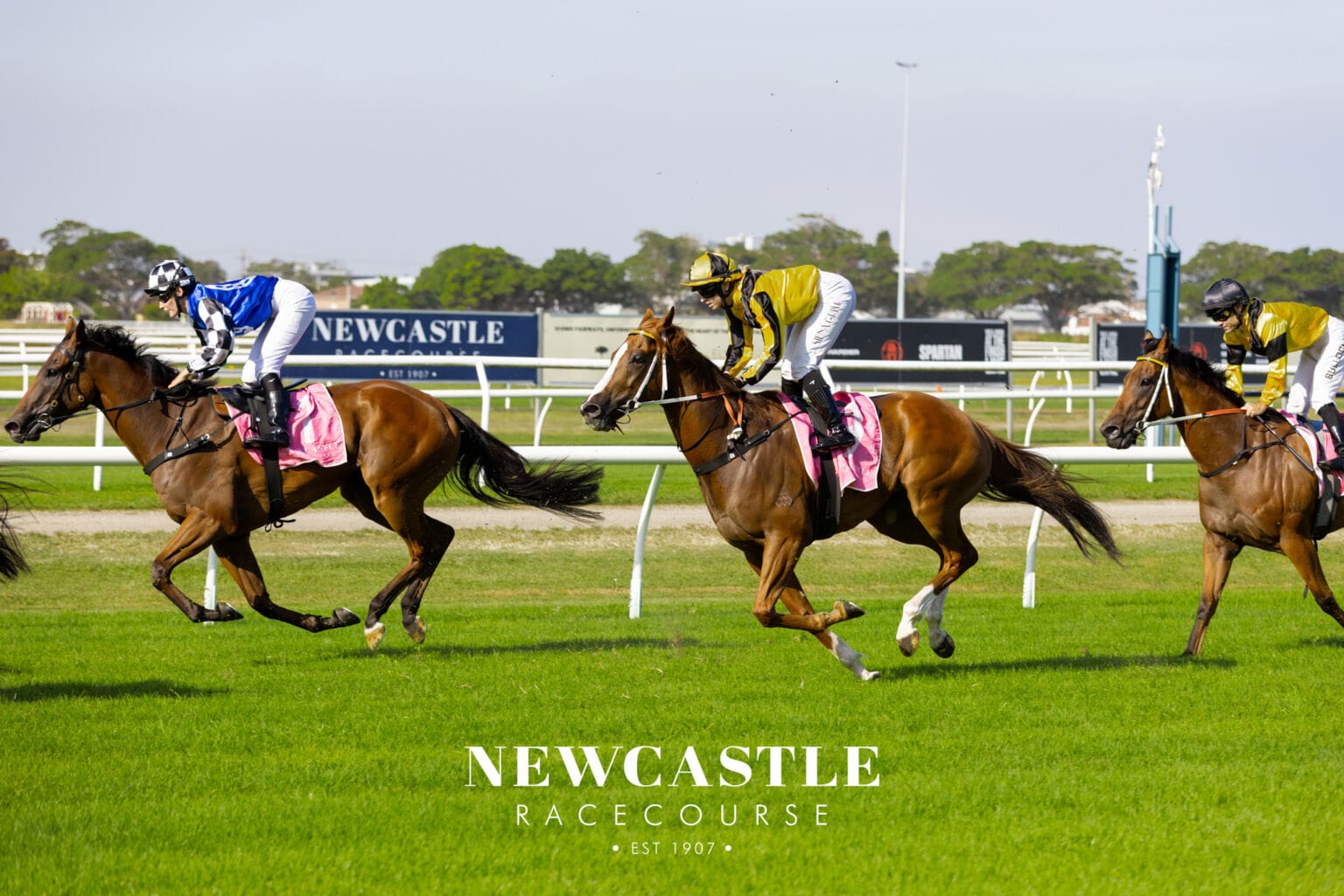 Newcastle Racecourse Race Days, Events & Hospitality in NSW